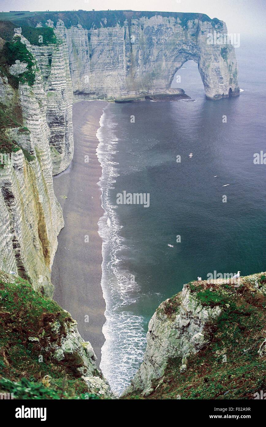 The D'Aval cliff and needle, Etretat, Normandy, France Stock Photo - Alamy
