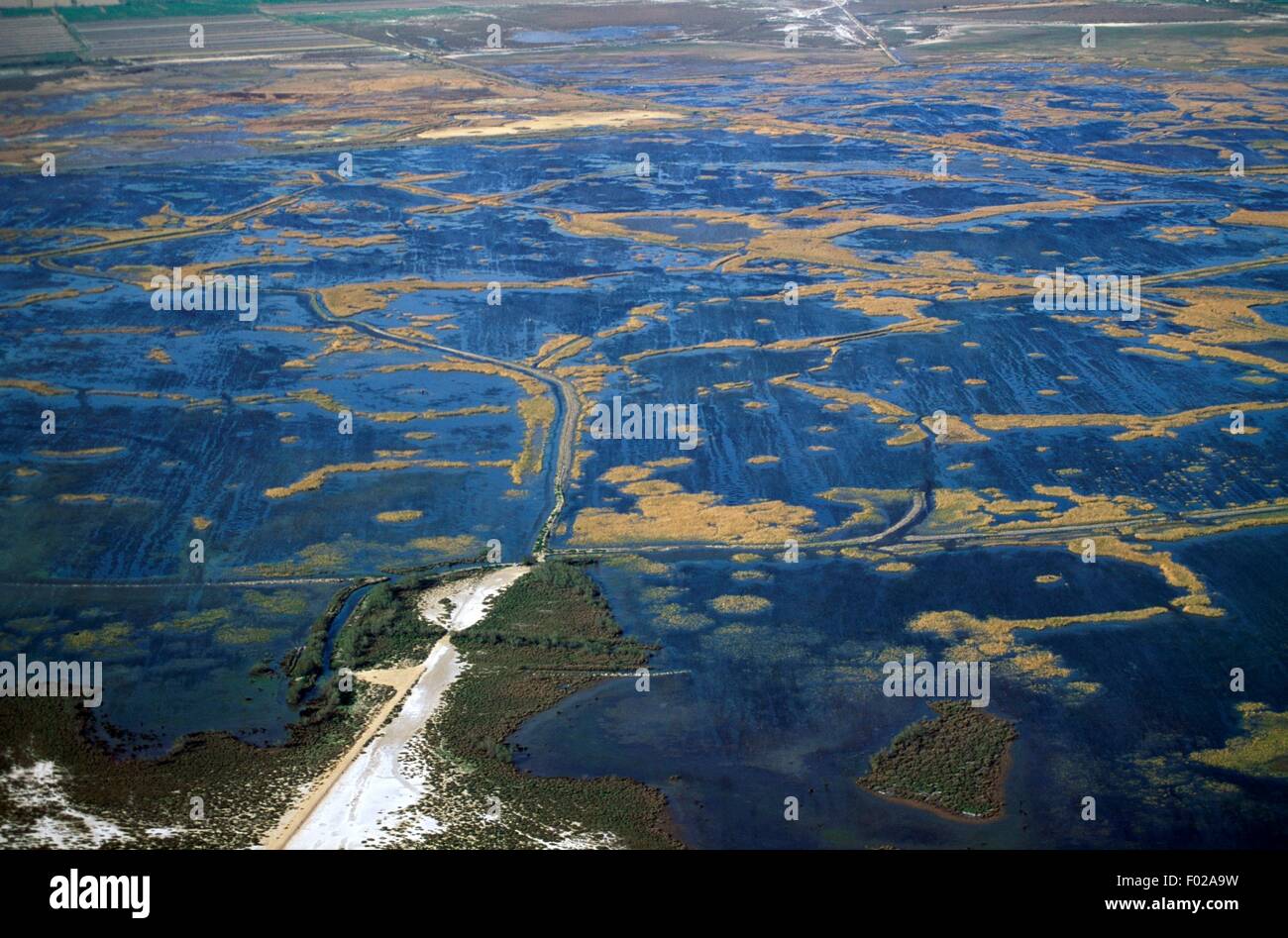 Marshy alluvial plain, Petite Camargue, Regional Nature Park of the ...