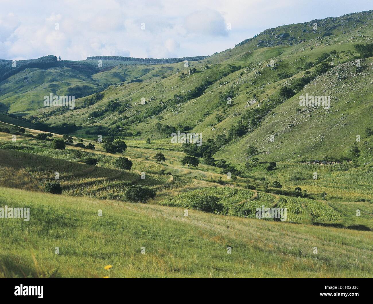 Panoramic view of a valley, Swaziland Stock Photo - Alamy