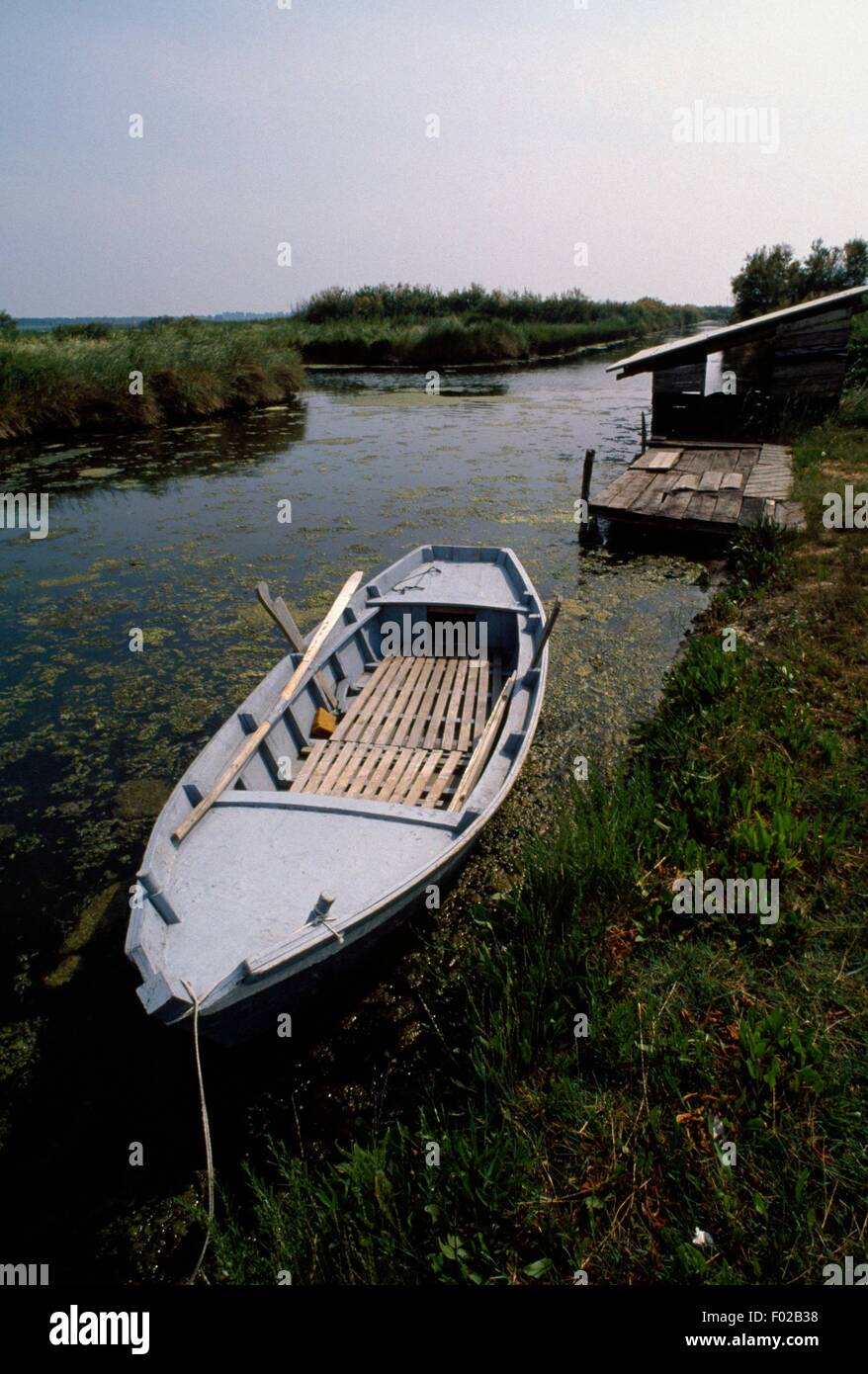Boat, Bertuzzi Valley, Po Delta Regional Park (UNESCO World Heritage ...