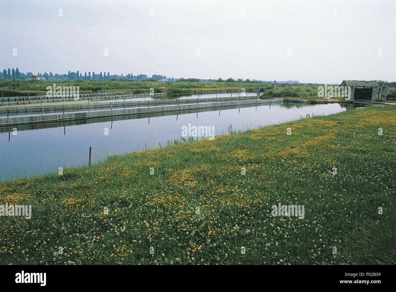 Delta po river regional park hi-res stock photography and images - Alamy