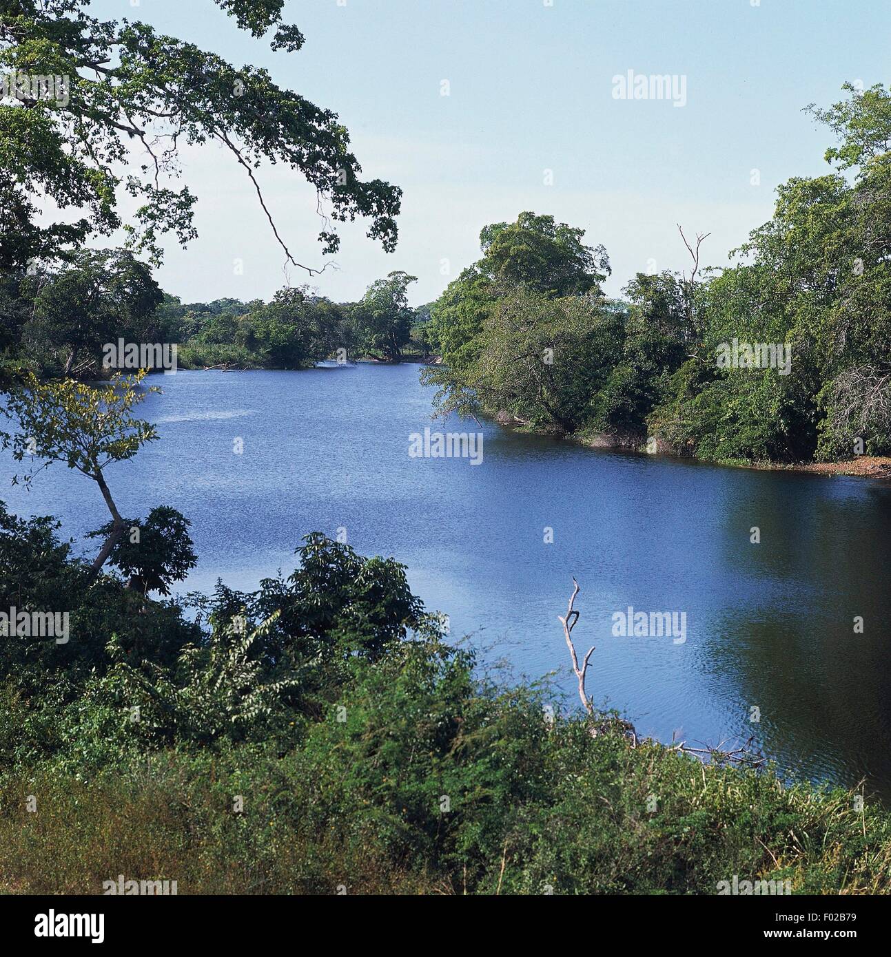 The Candelaria River near Campeche, Mexico Stock Photo - Alamy