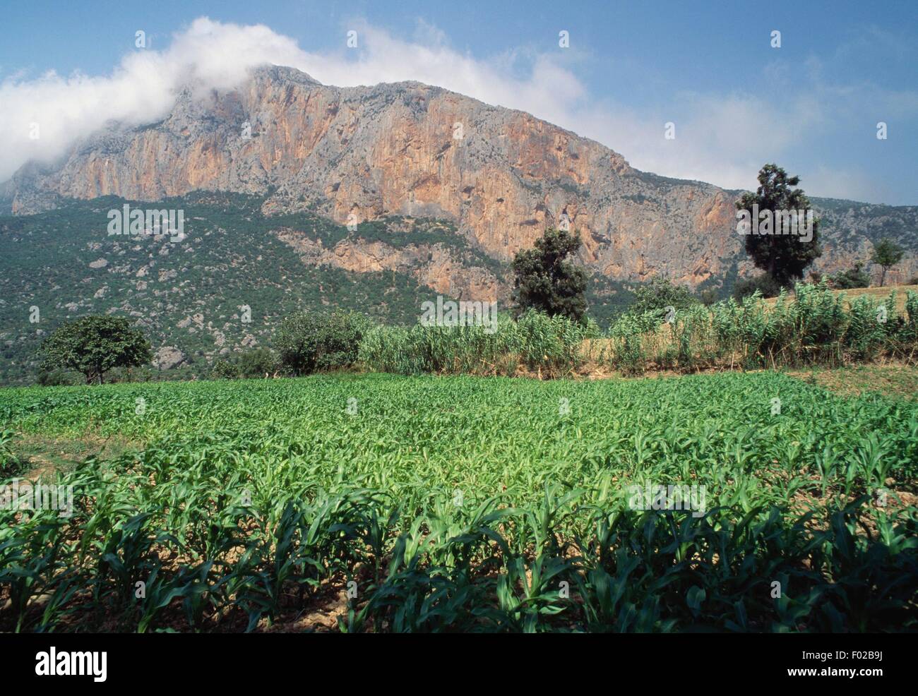 Rif mountains landscape morocco people hi-res stock photography and ...