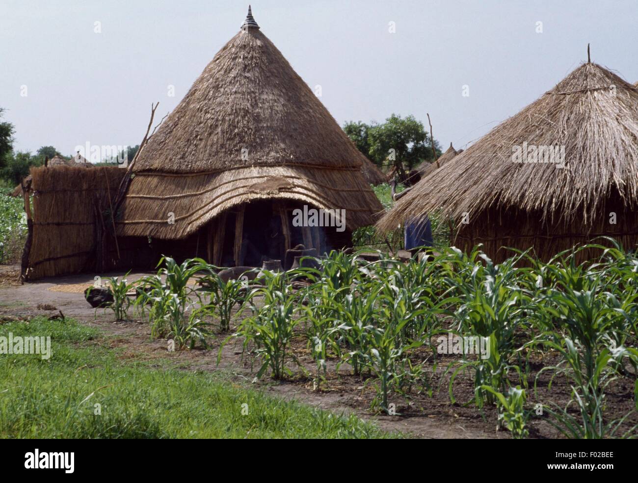 Itang ethiopia hi-res stock photography and images - Alamy