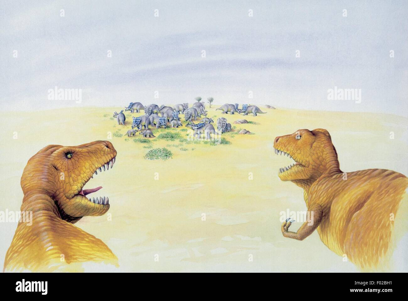 Palaeozoology - Cretaceous Period - Dinosaurs - Albertosaurus (art work ...