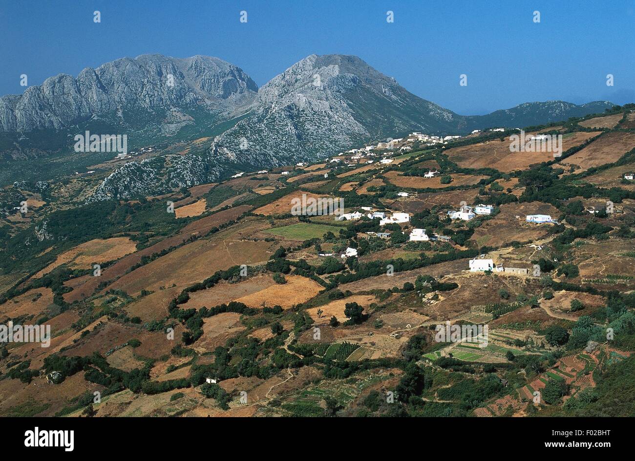 Agricultural landscape east of Tangier, Rif Mountains, Morocco Stock ...