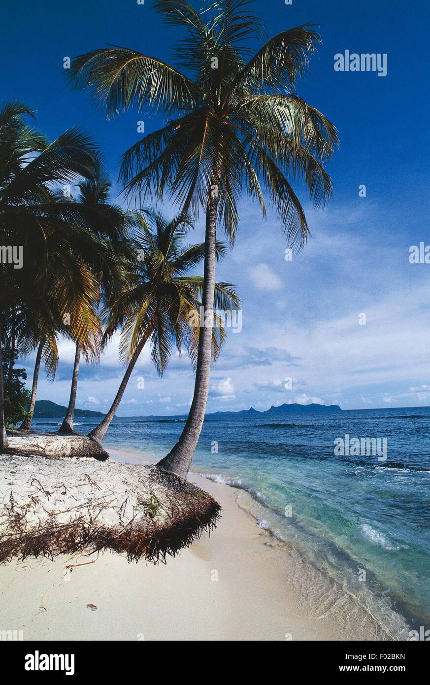 Grenada carriacou sandy island hi-res stock photography and images - Alamy