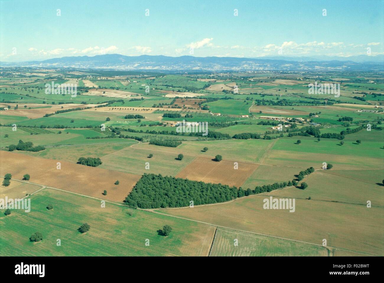 Aerial view of a plain with cultivated fields in the province of ...