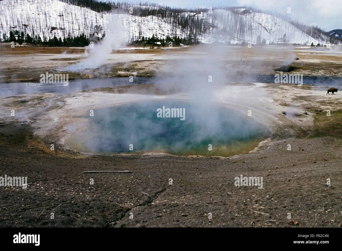 Midway Geyser Basin, Yellowstone National Park (UNESCO World Heritage ...