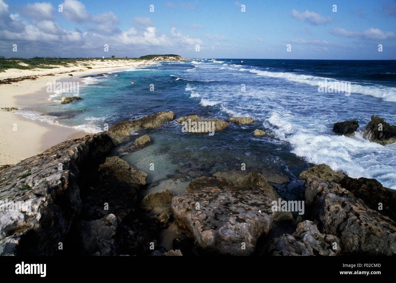 Sandy and rocky beach, Cozumel Island, off the Yucatan peninsula, State ...