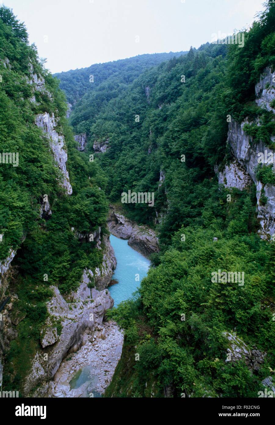 The Cellina River flowing through a gorge before emptying into Lake ...