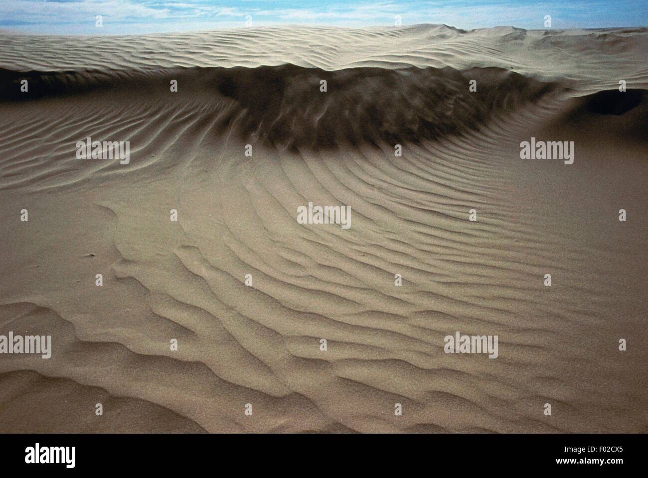 Active sand dunes, Great Sandhills. Saskatchewan, Canada Stock Photo ...