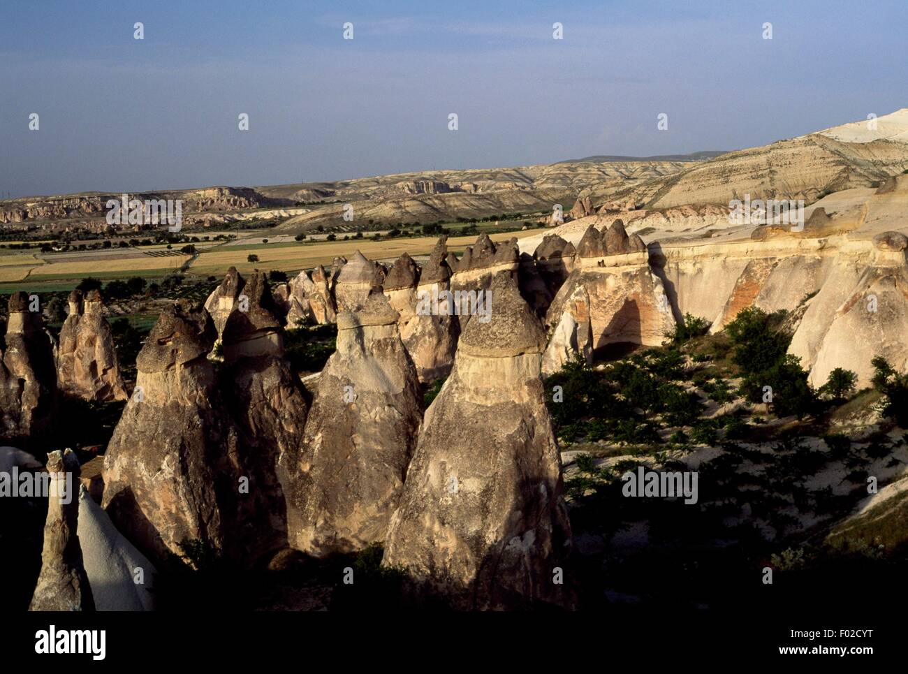 Fairy chimneys (volcanic rock pyramids), near Zelve, Goreme Valley ...