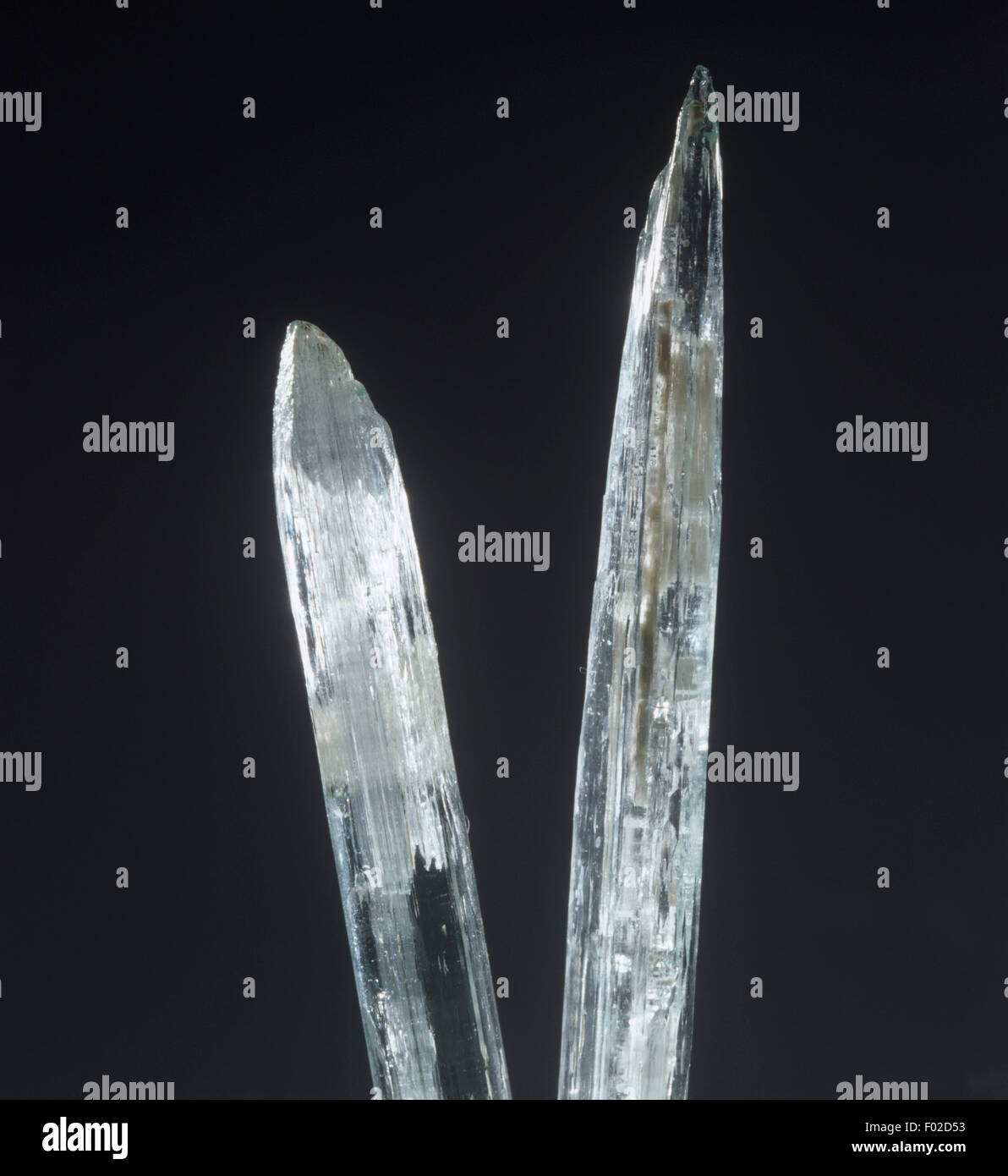 Beryl image hi-res stock photography and images - Alamy