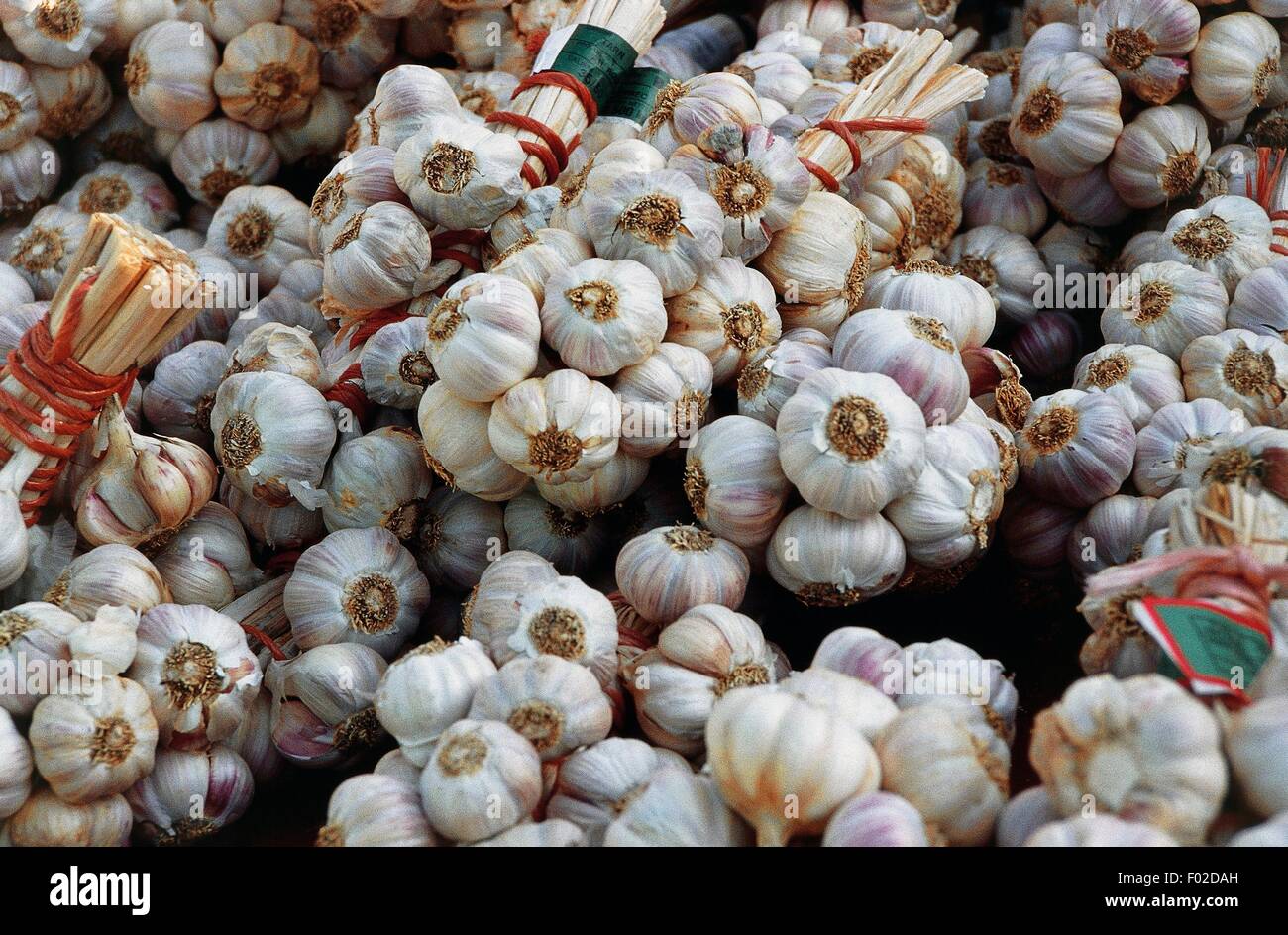 Garlic on display in a market stall in Provence, France Stock Photo - Alamy