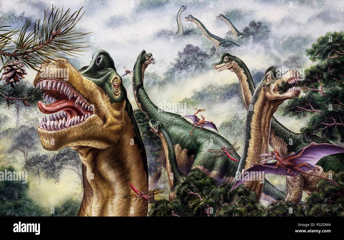 Ultrasauros macintoshi, Brachiosauridae, Giurassico. Illustration Stock ...