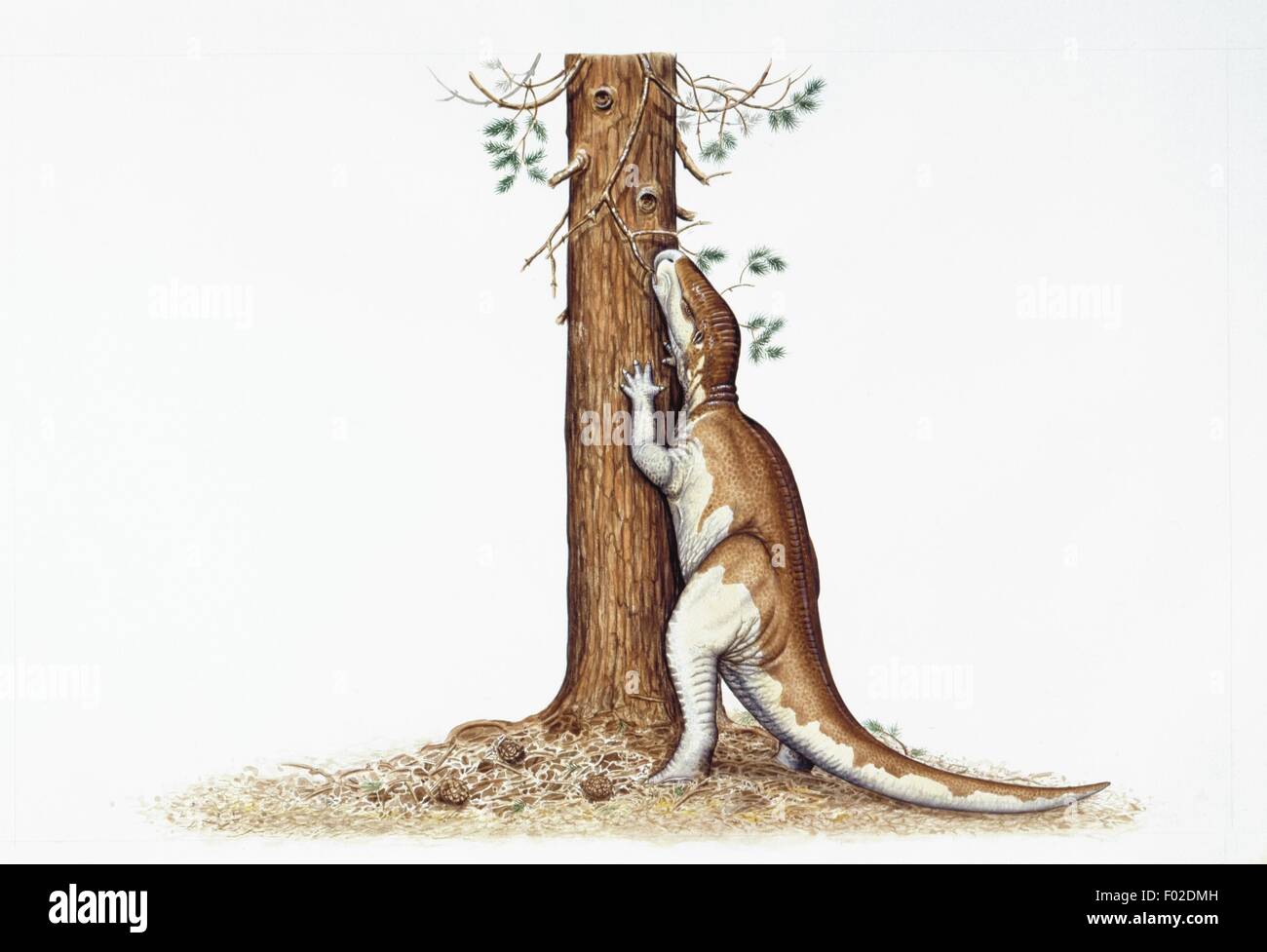 Palaeozoology jurassic cretaceous period hi-res stock photography and ...