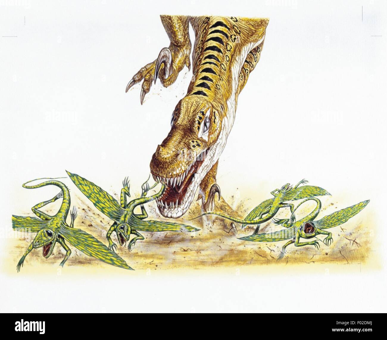 Palaeozoology - Cretaceous period - Dinosaurs - Velociraptor - Art work ...