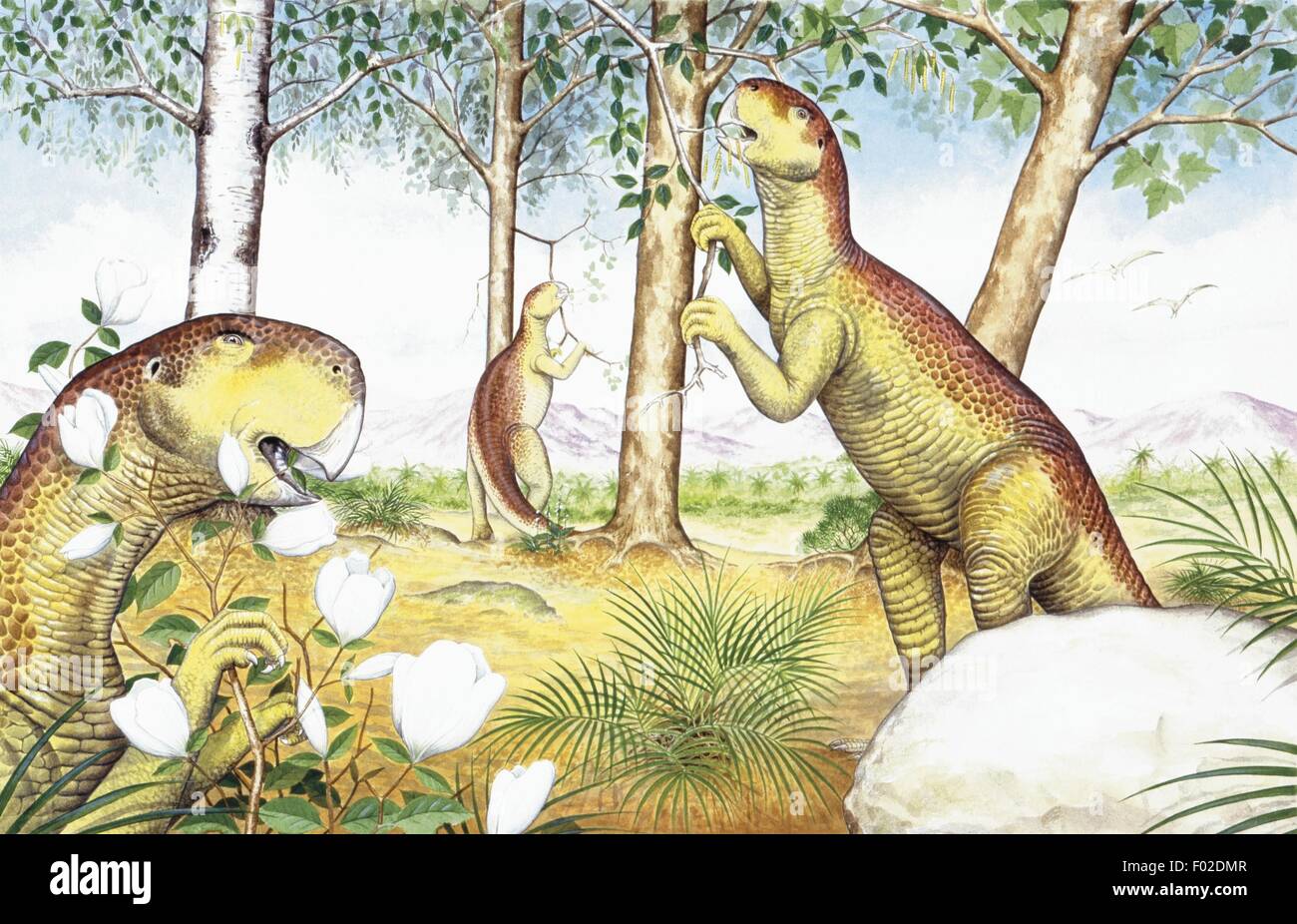 Palaeozoology - Cretaceous period - Dinosaurs - Psittacosaurus - Art ...
