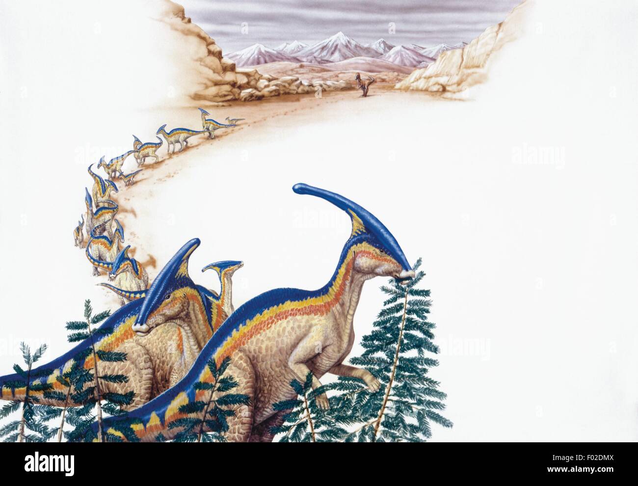 Palaeozoology - Triassic period - Dinosaurs - Paracyclotosaurus - Art ...