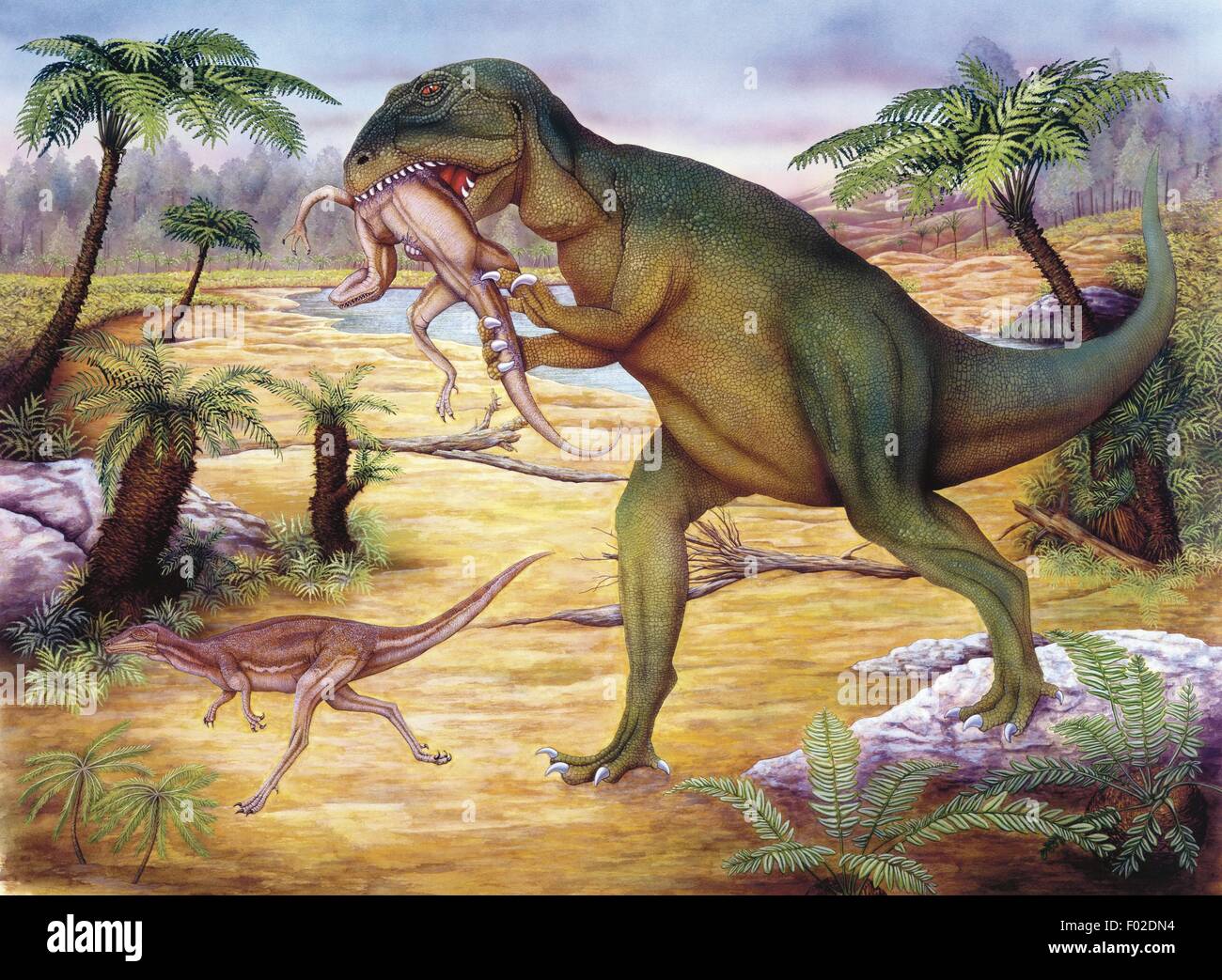 Carnivorous dinosaurs allosaurus hi-res stock photography and images ...