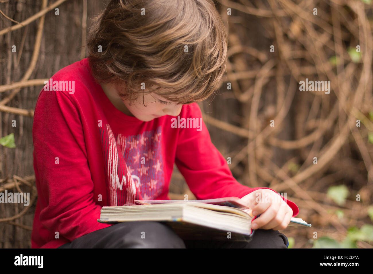 Boy reading a book Stock Photo - Alamy