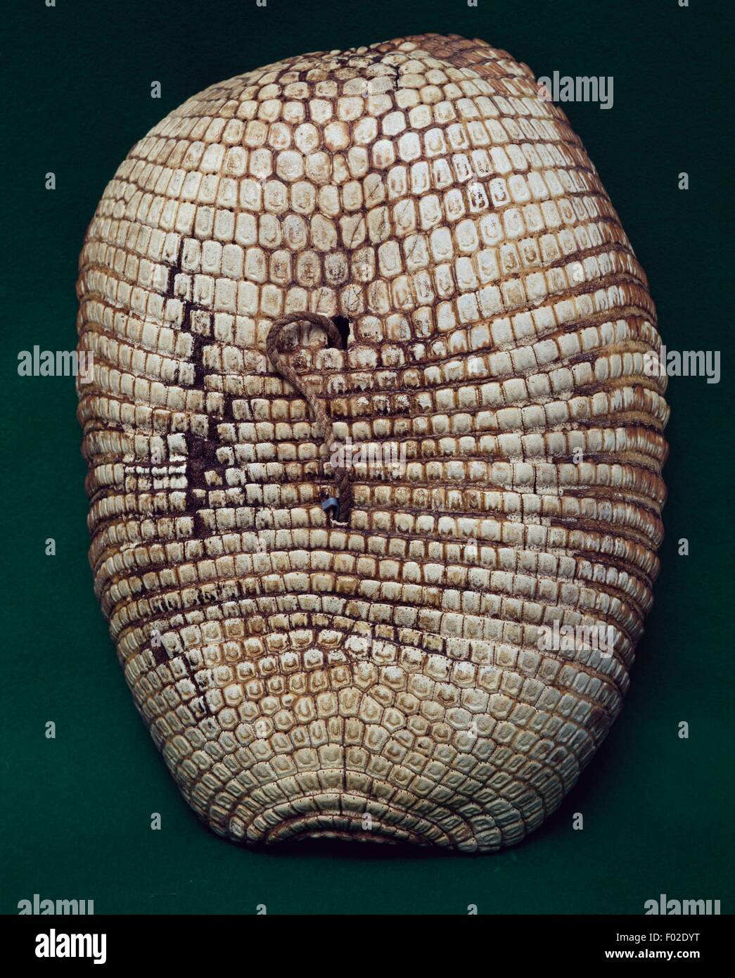Shield made from armadillo shell (Priodontes maximus), height 56 cm ...