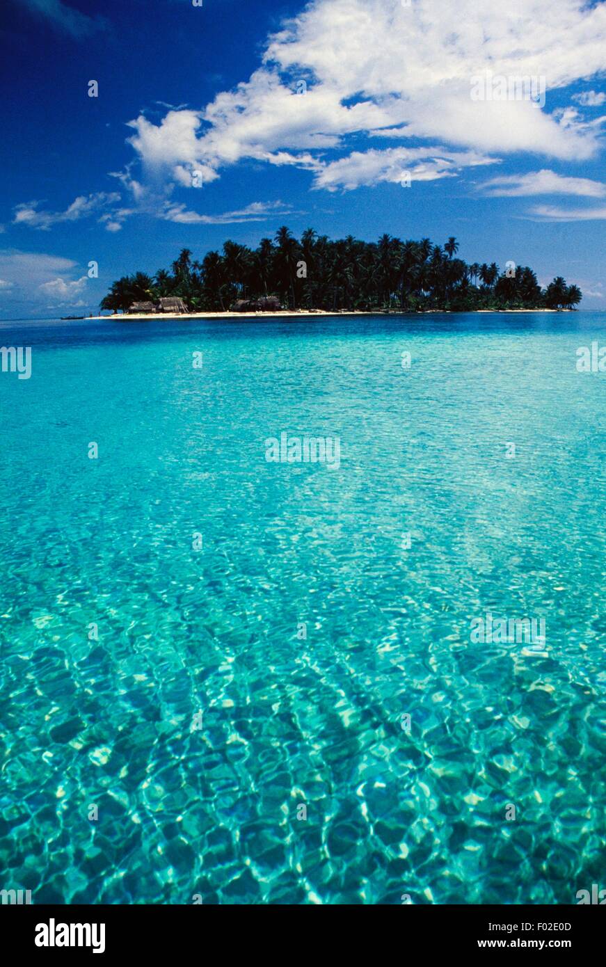 Coco blanco hi-res stock photography and images - Alamy