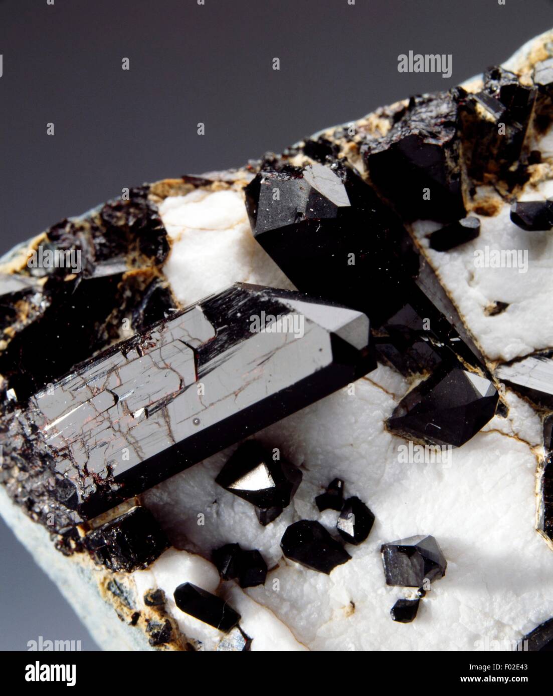 Neptunite hi-res stock photography and images - Alamy