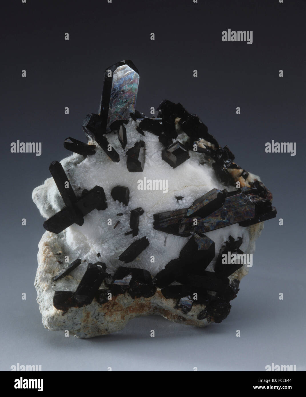Neptunite hi-res stock photography and images - Alamy