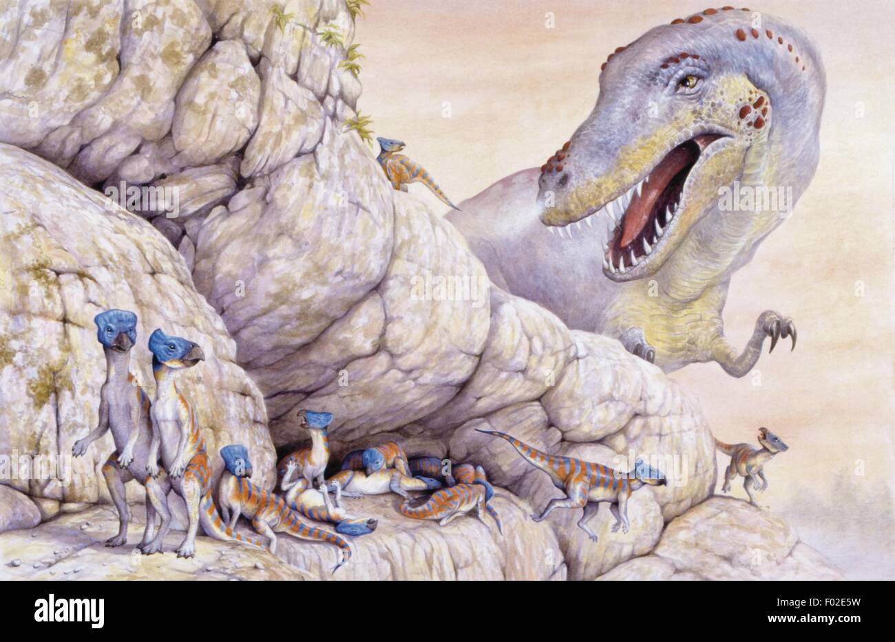 Microceratops hi-res stock photography and images - Alamy