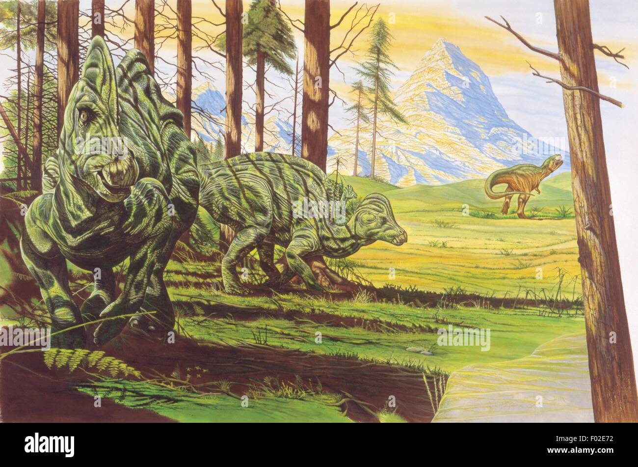 Palaeozoology - Cretaceous period - Dinosaurs - Hypacrosaurus - Art ...