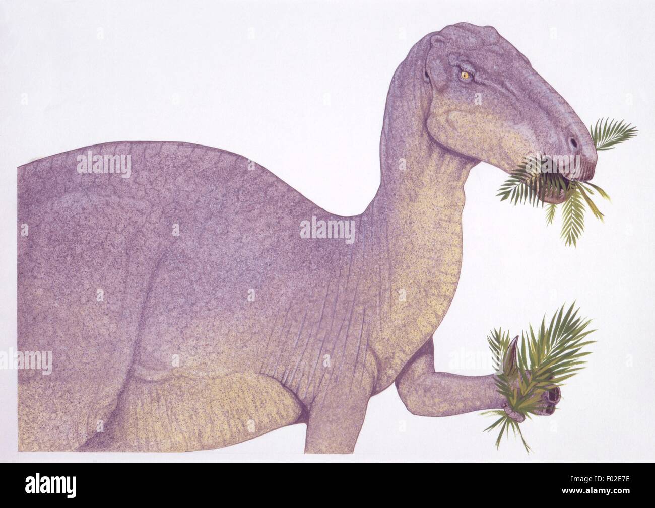 Palaeozoology cretaceous period dinosaurs hi-res stock photography and ...