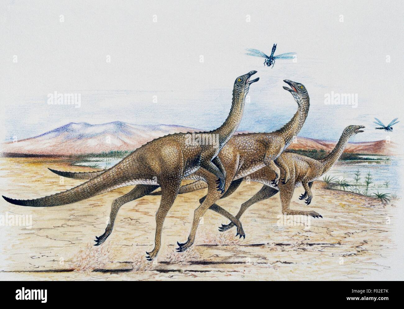 Gallimimus Size