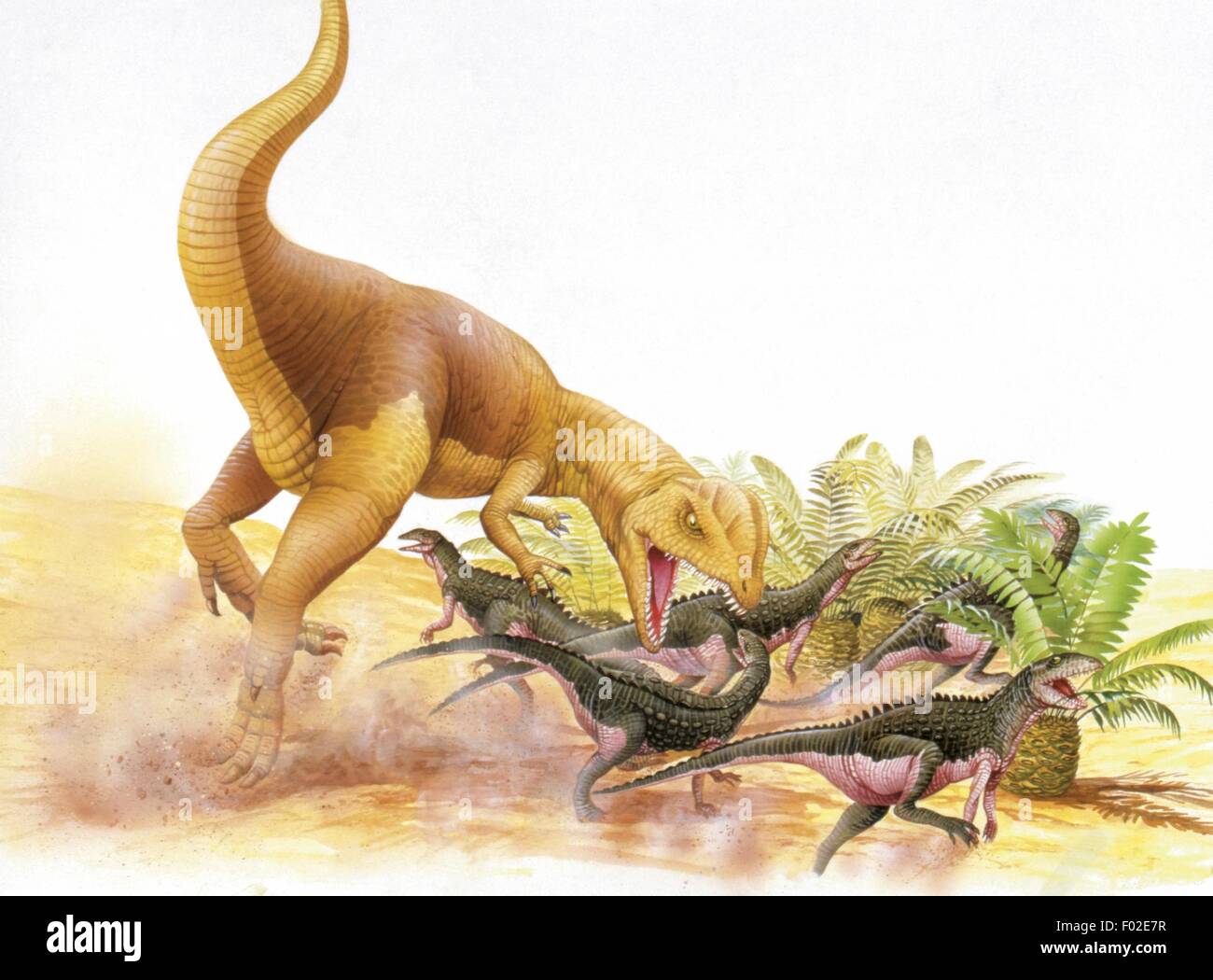 Scutellosaurus hi-res stock photography and images - Alamy