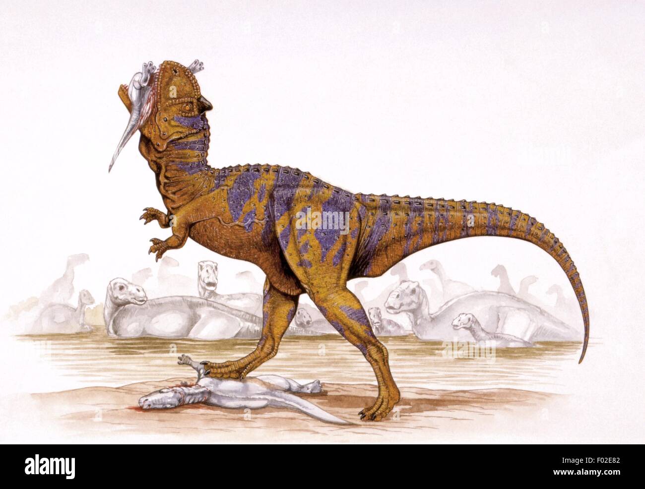 Palaeozoology - Cretaceous period - Dinosaurs - Carnotaurus - Art work ...