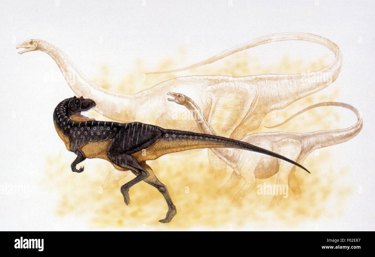 Palaeozoology - Jurassic period - Dinosaurs - Piatnitzkysaurus - Art ...