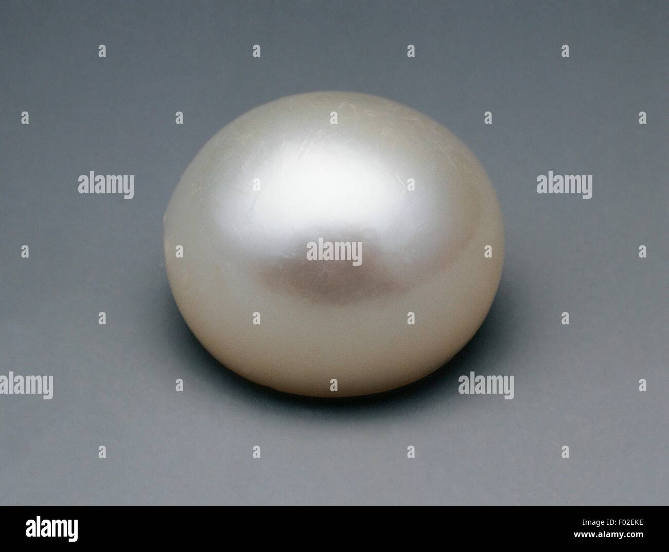 Cultured shot hi-res stock photography and images - Alamy