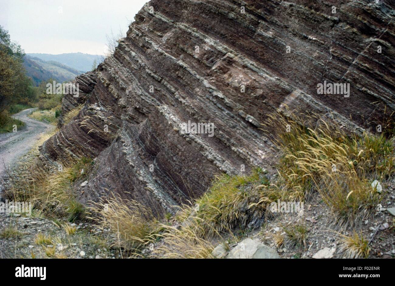Sandstone formation at the foot of Bocca di Scala, Orecchiella Natural ...