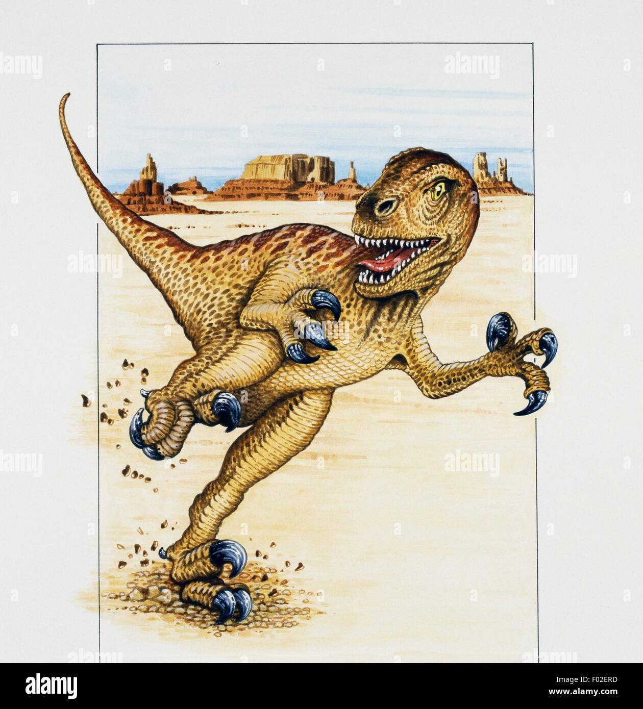 Utahraptor, claw hi-res stock photography and images - Alamy