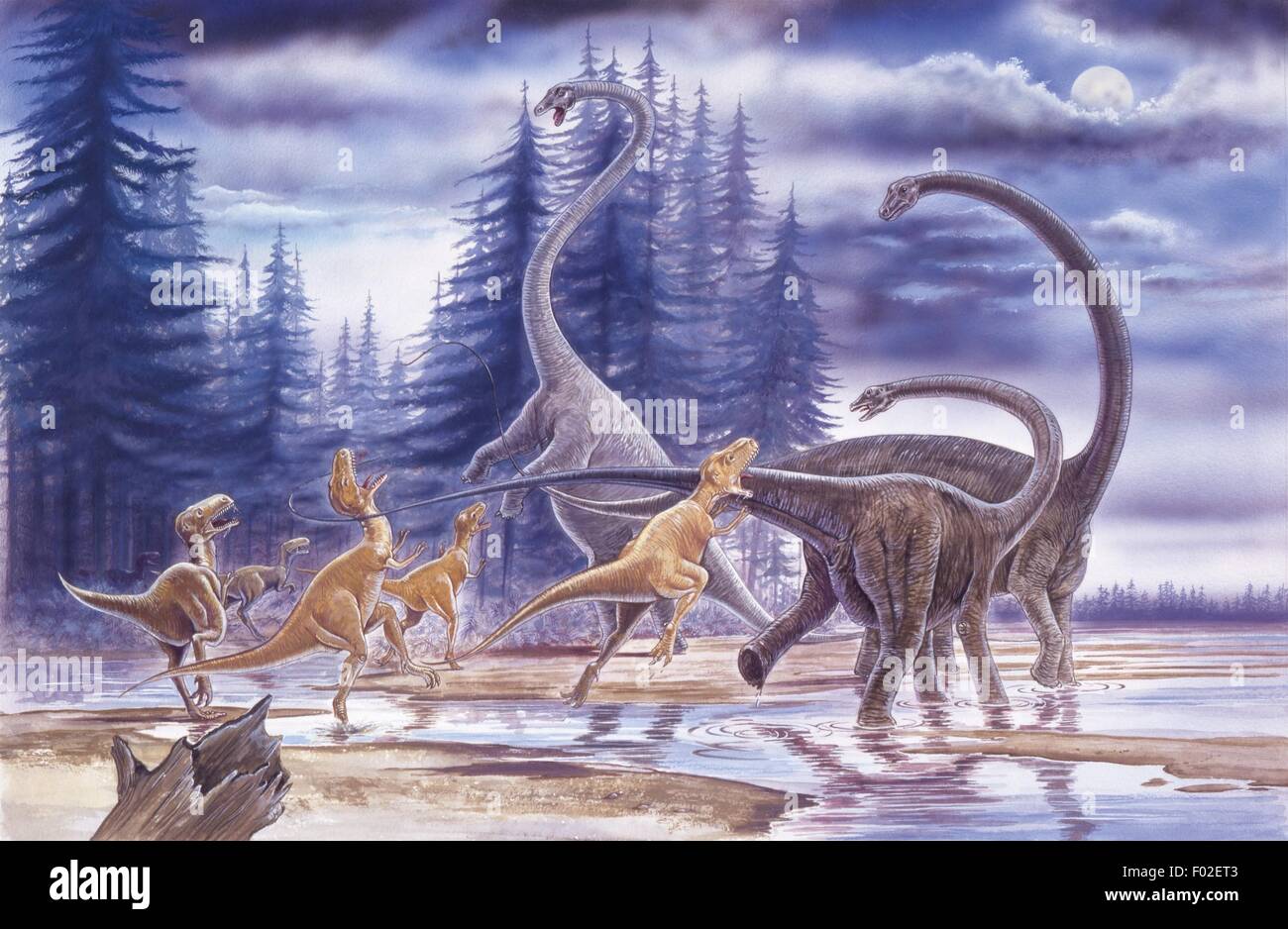 Dinoasurs Hi Res Stock Photography And Images Alamy