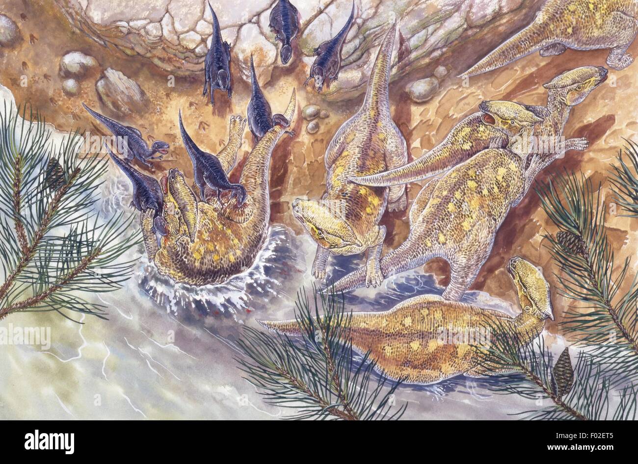 Palaeozoology - Cretaceous period - Dinosaurs - Saurolophus - Art work ...