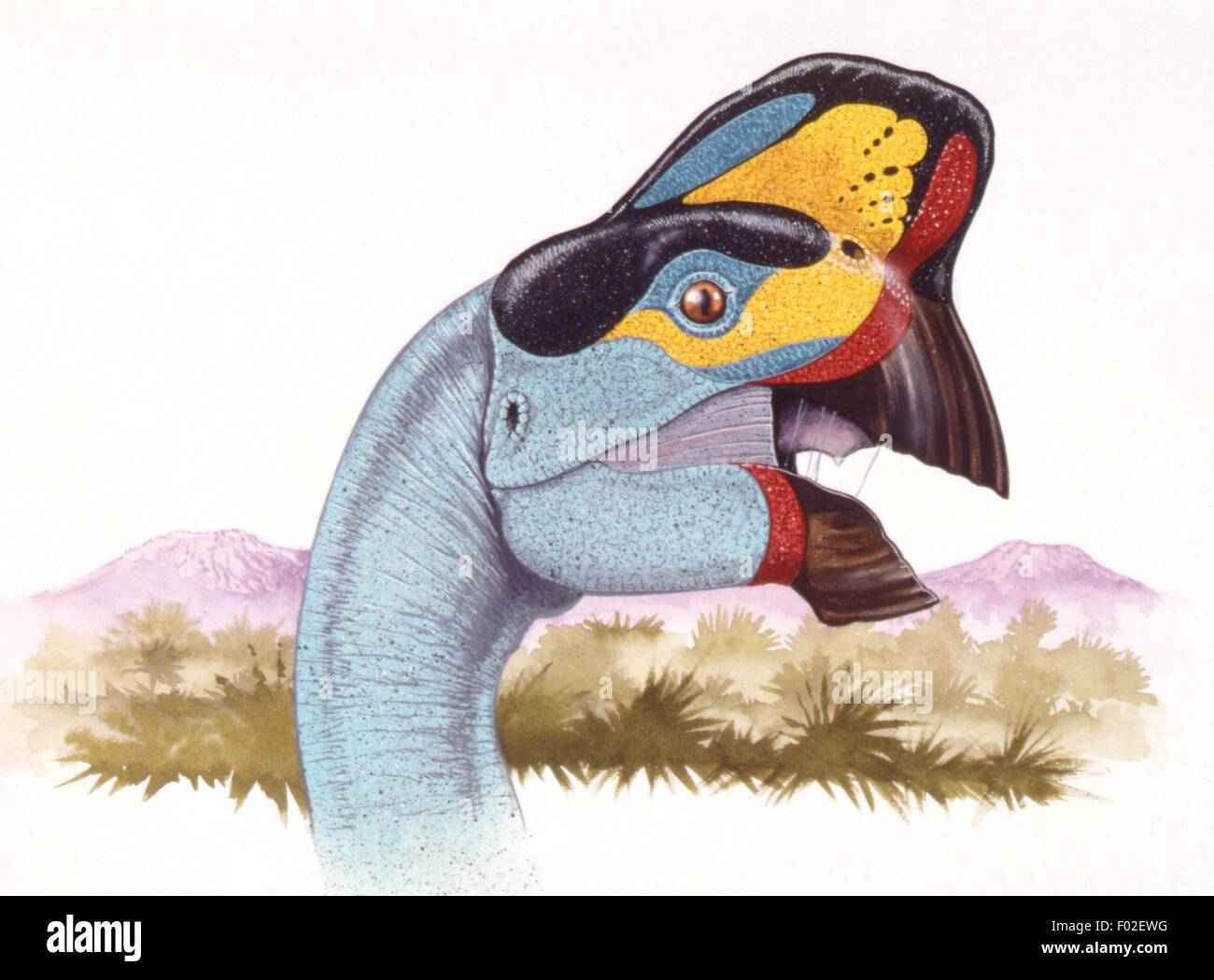 Palaeozoology - Cretaceous period - Dinosaurs - Oviraptor head - Art ...