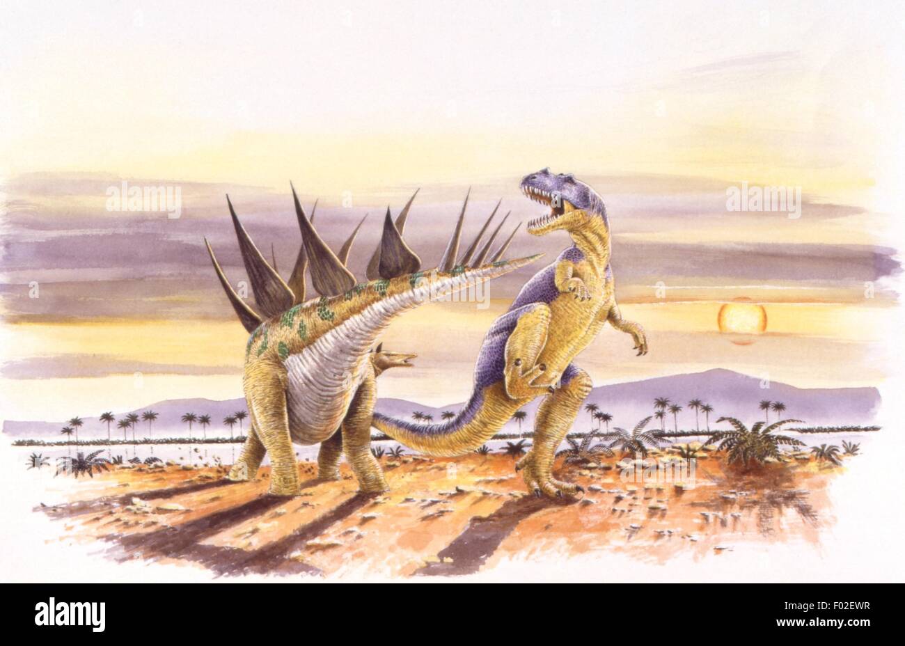 Palaeozoology - Jurassic period - Dinosaurs - Diracodon and ...