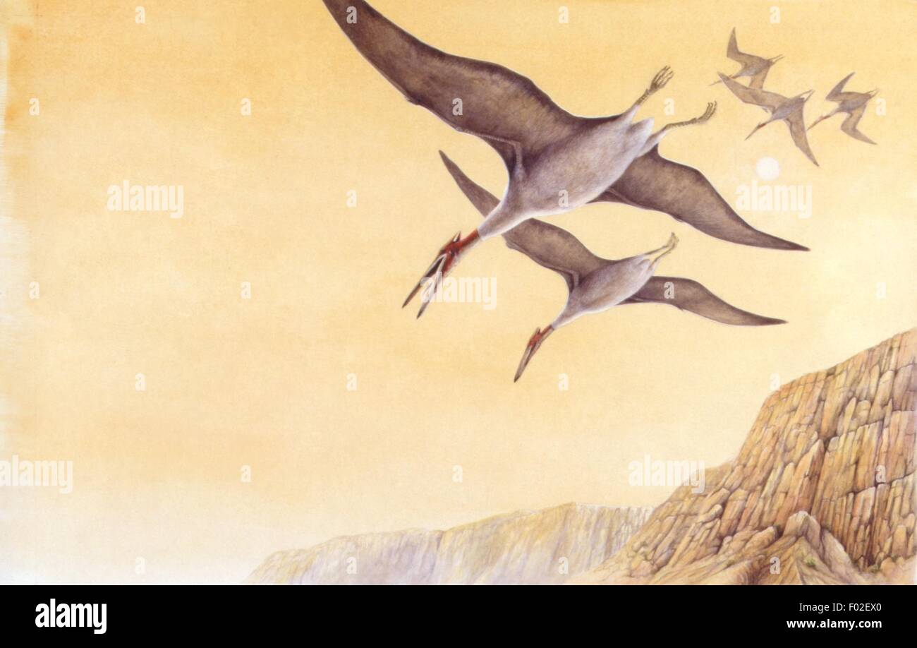 Palaeozoology - Cretaceous period - Pterosaurs - Quetzalcoatlus (Flying ...