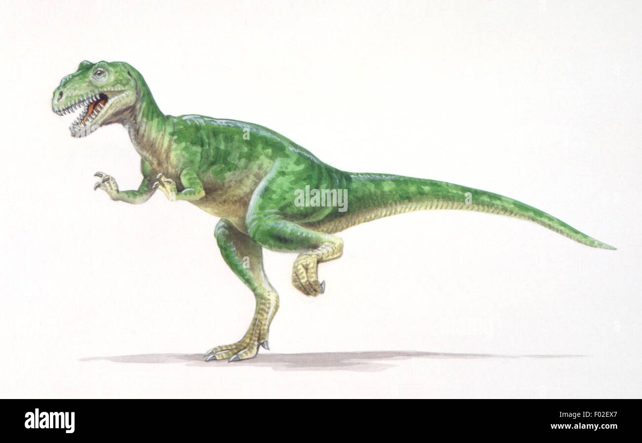 Palaeozoology - Jurassic period -Dinosaurs - Eustreptospondylus - Art ...