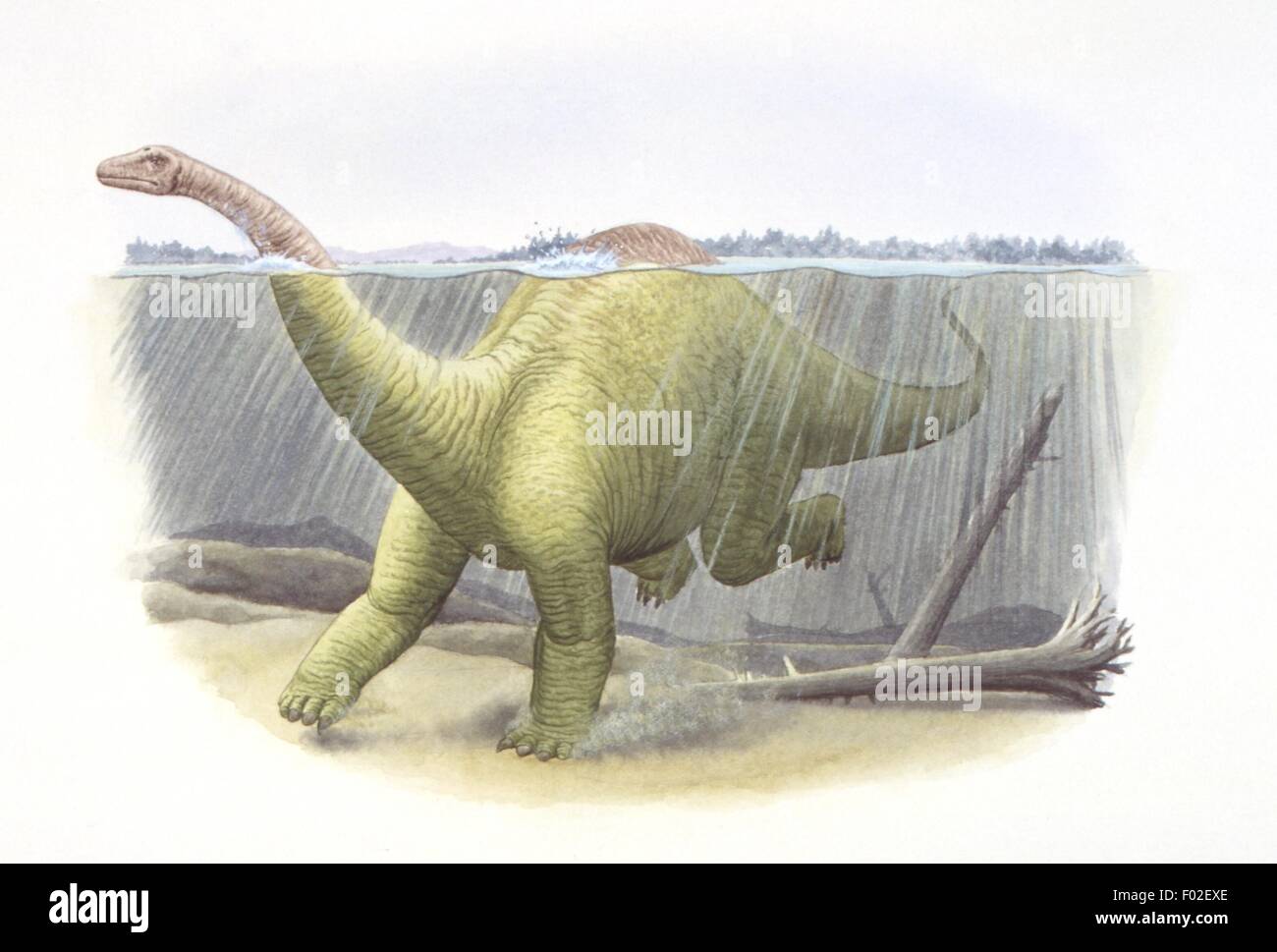 Protohistory Period Cut Out Stock Images & Pictures - Alamy