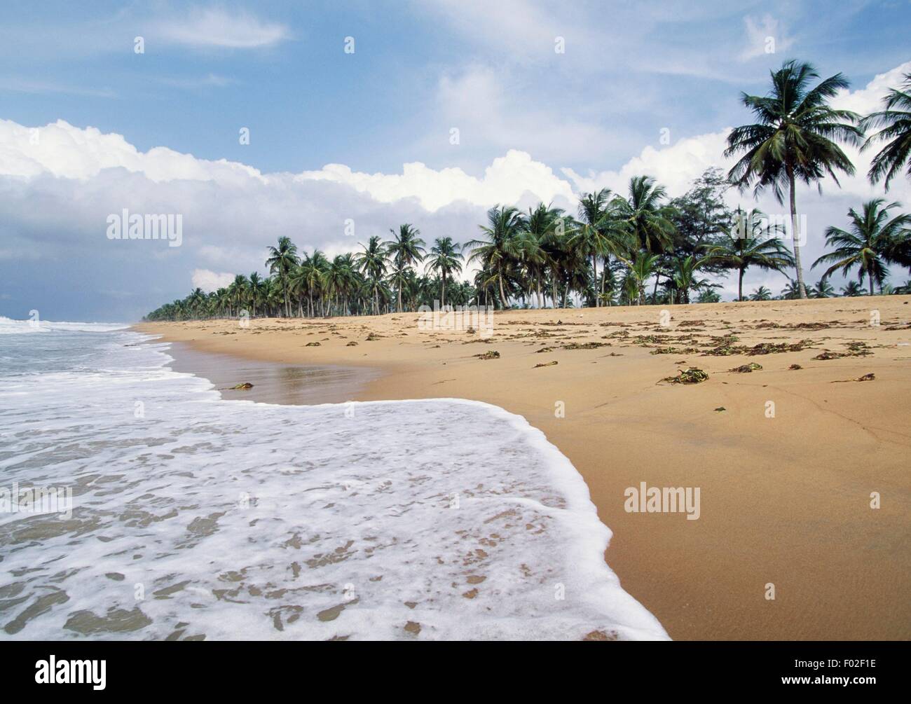 Beach with palm trees near Grand-Bassam, Ivory Coast Stock Photo - Alamy