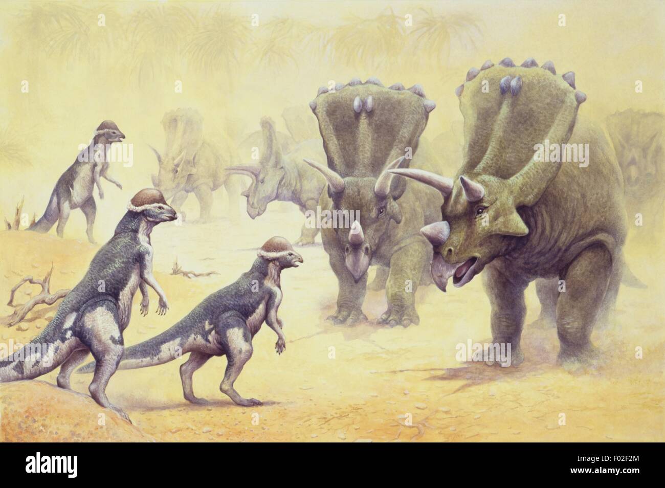 Palaeozoology - Mesozoic period - Dinosaurs - Art work Stock Photo - Alamy