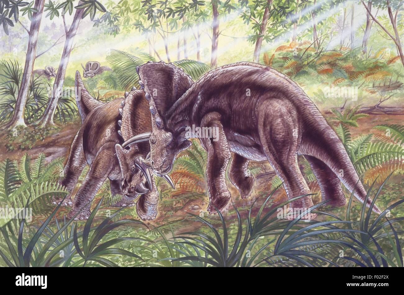 Palaeozoology - Cretaceous period - Fight between Pentaceratops - Art ...